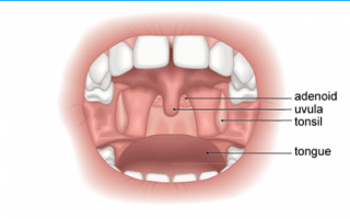 How Effective Is An Anti Snoring Chinstrap And Does It Really Work?